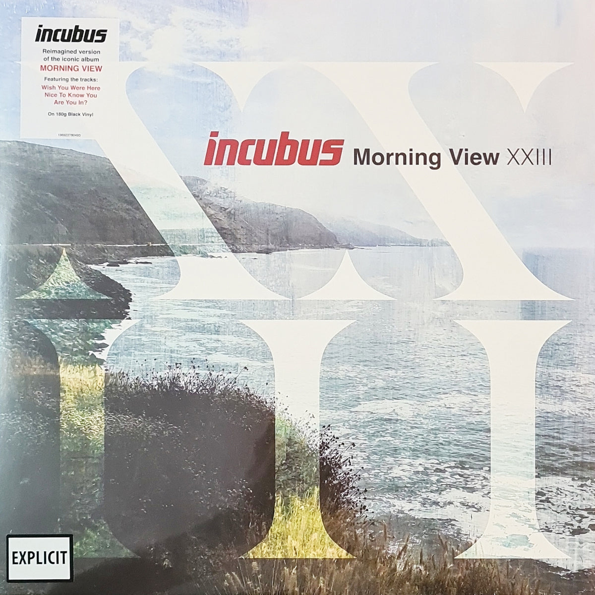 Incubus - Morning View XXIII (2LP) – Stash Records