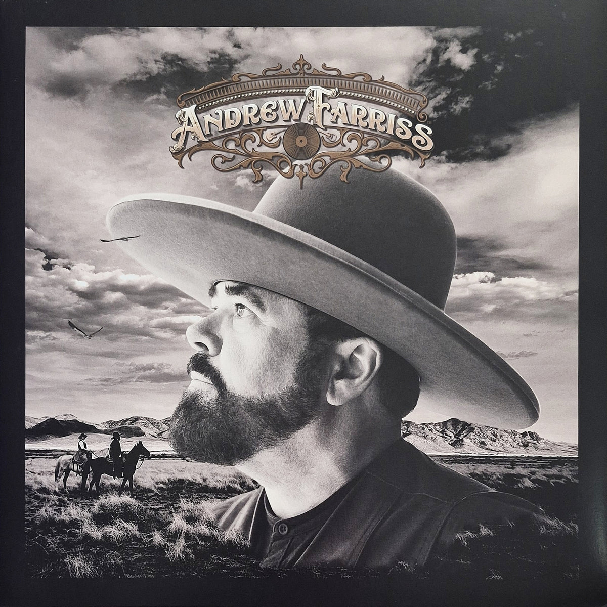 Pre Loved Record - Andrew Farriss - Andrew Farriss (Ltd. Ed. / Picture ...