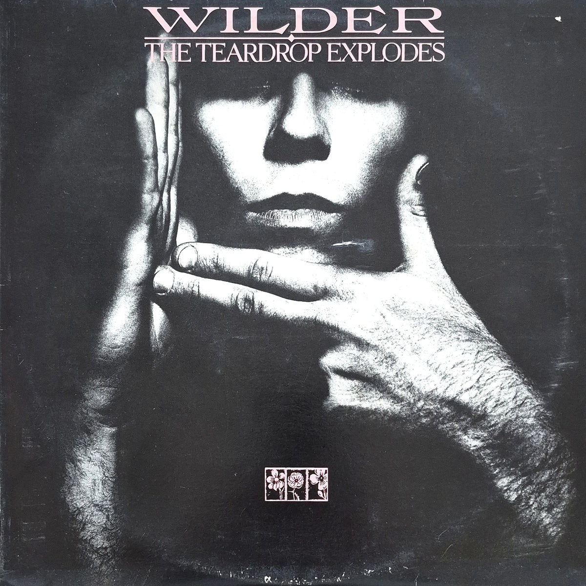 Pre Loved Record - The Teardrop Explodes - Wilder – Stash Records