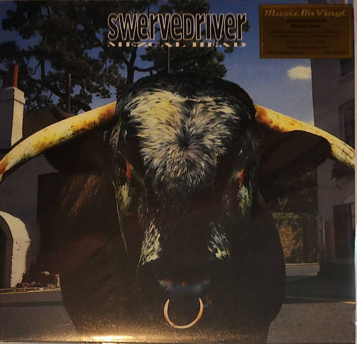 Swervedriver - Mezcal Head (Limited Ed/ Blue Marbled Vinyl + Booklet ...