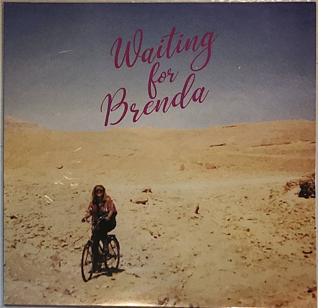 Waiting For Brenda - Friendly Disposition – Stash Records