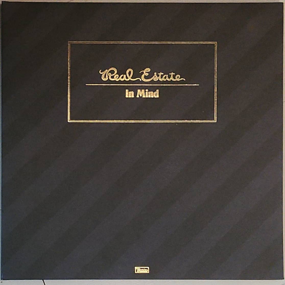 Pre Loved Record - Real Estate - In Mind (Coloured Vinyl) – Stash Records