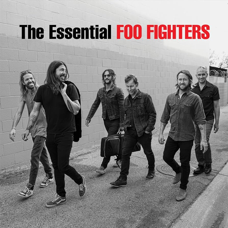 Foo Fighters - The Essential (2LP) – Stash Records