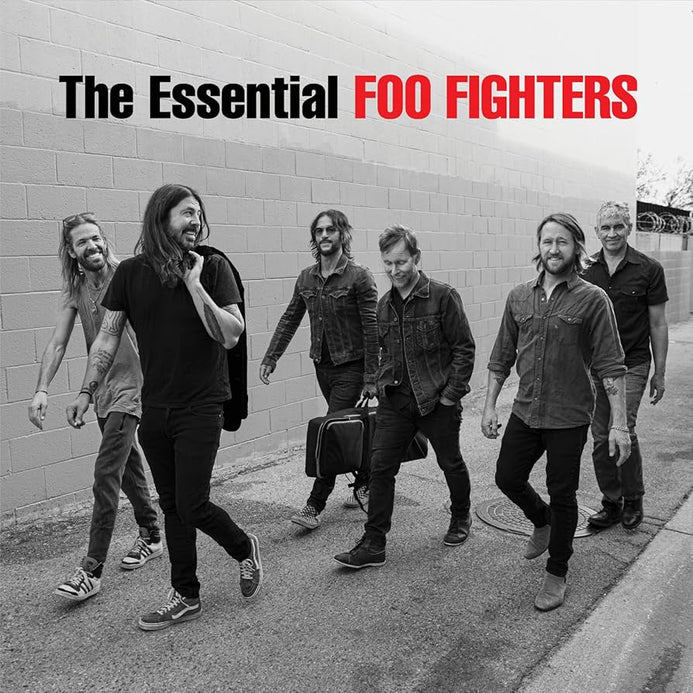Foo Fighters - The Essential (2LP) – Stash Records