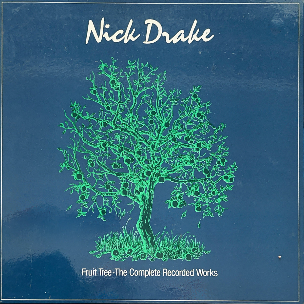 Pre Loved Record - Nick Drake - Fruit Tree (3LP Box Set) – Stash Records