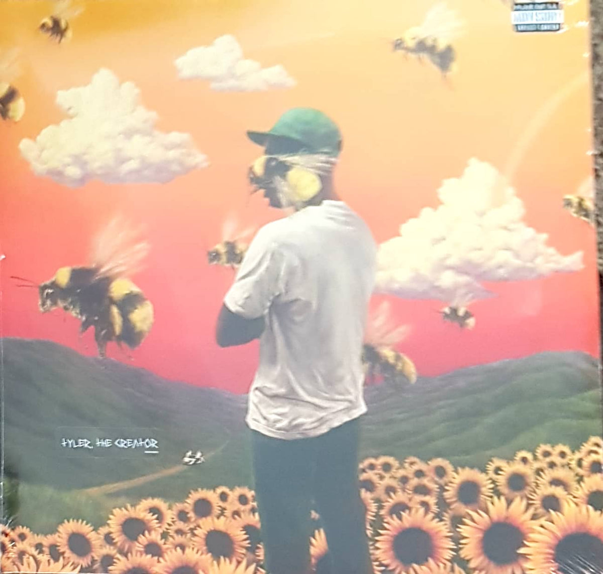 Tyler The Creator - Scum F*** Flower Boy – Stash Records